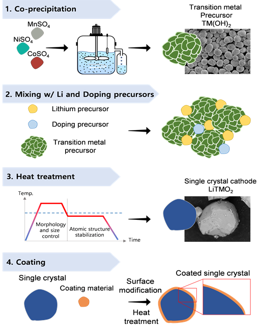 Report - What we do -SNE Research